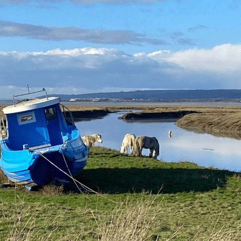 Walks - Gower Walking Festival