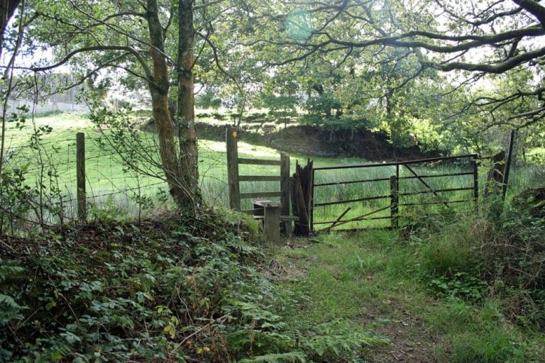 Walks - Gower Walking Festival